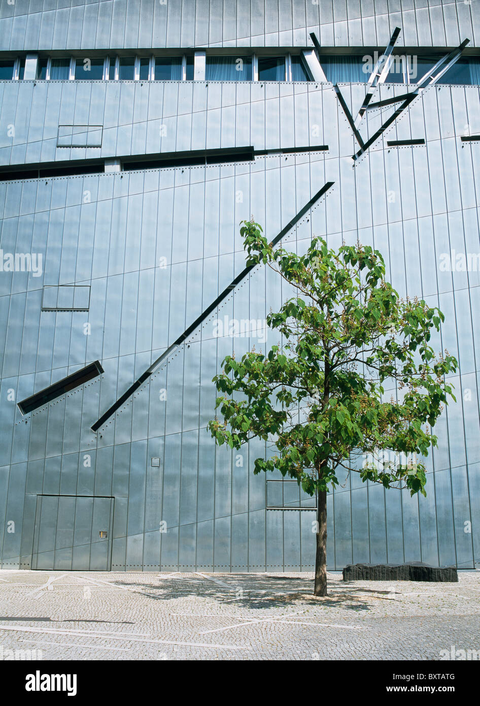 Jewish tree hi-res stock photography and images - Alamy