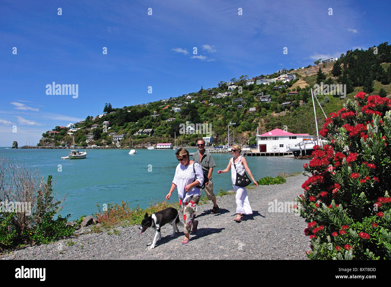 Moncks Bay, Christchurch, Canterbury Region, South Island, New Zealand ...