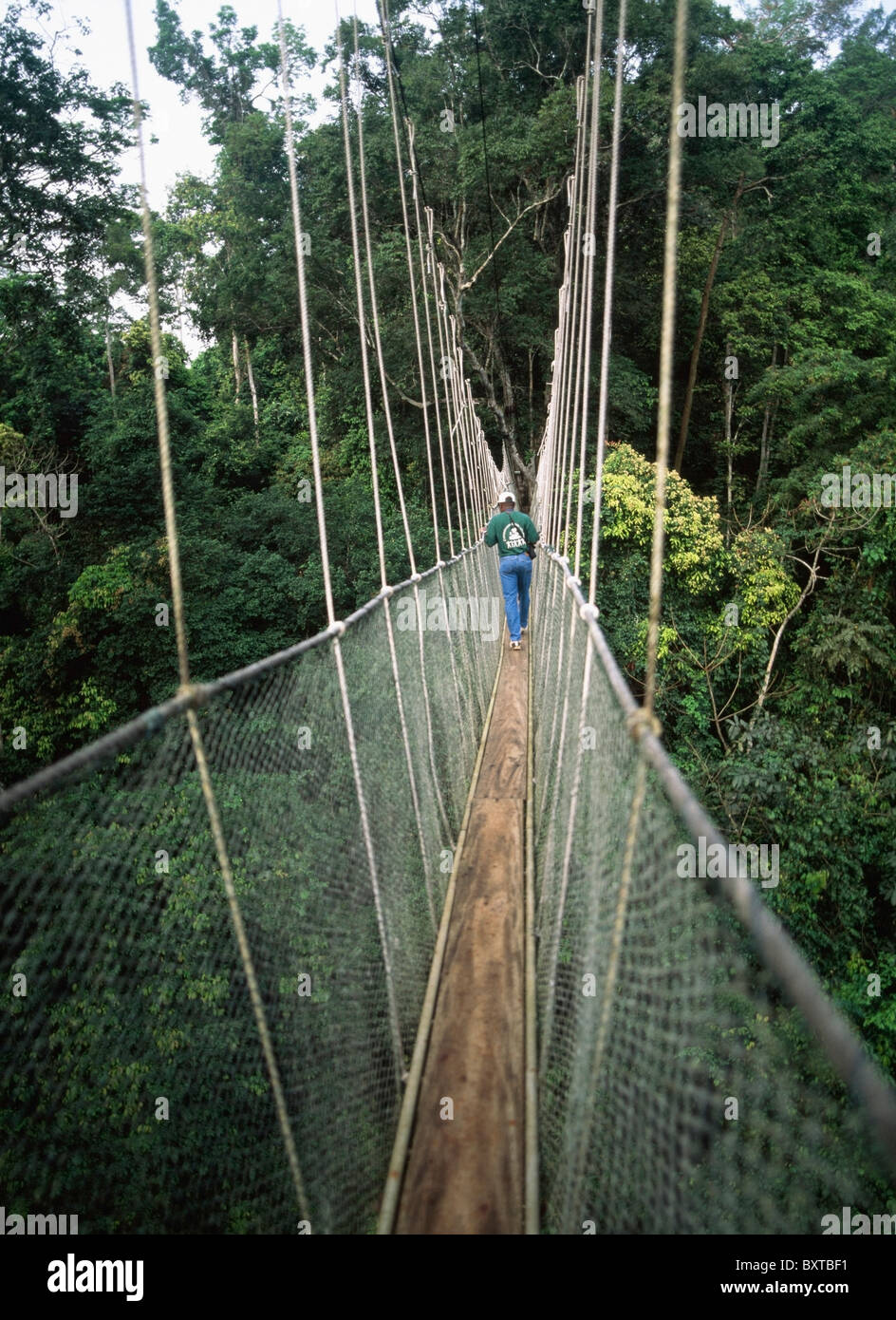 Canopy Walkway At Kakum National Park Stock Photo - Alamy
