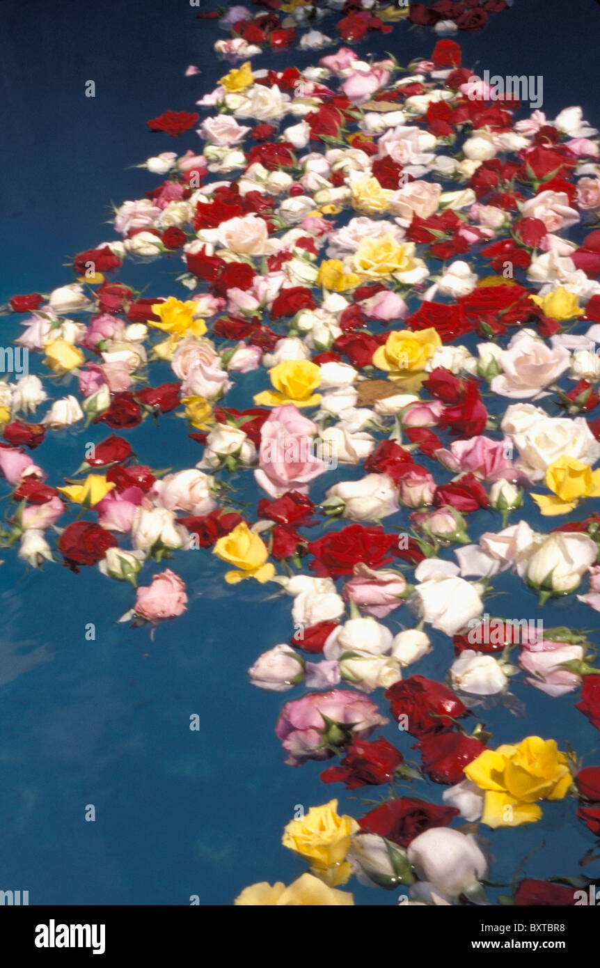 Flowers Floating In Water During Semana Santa Stock Photo - Alamy