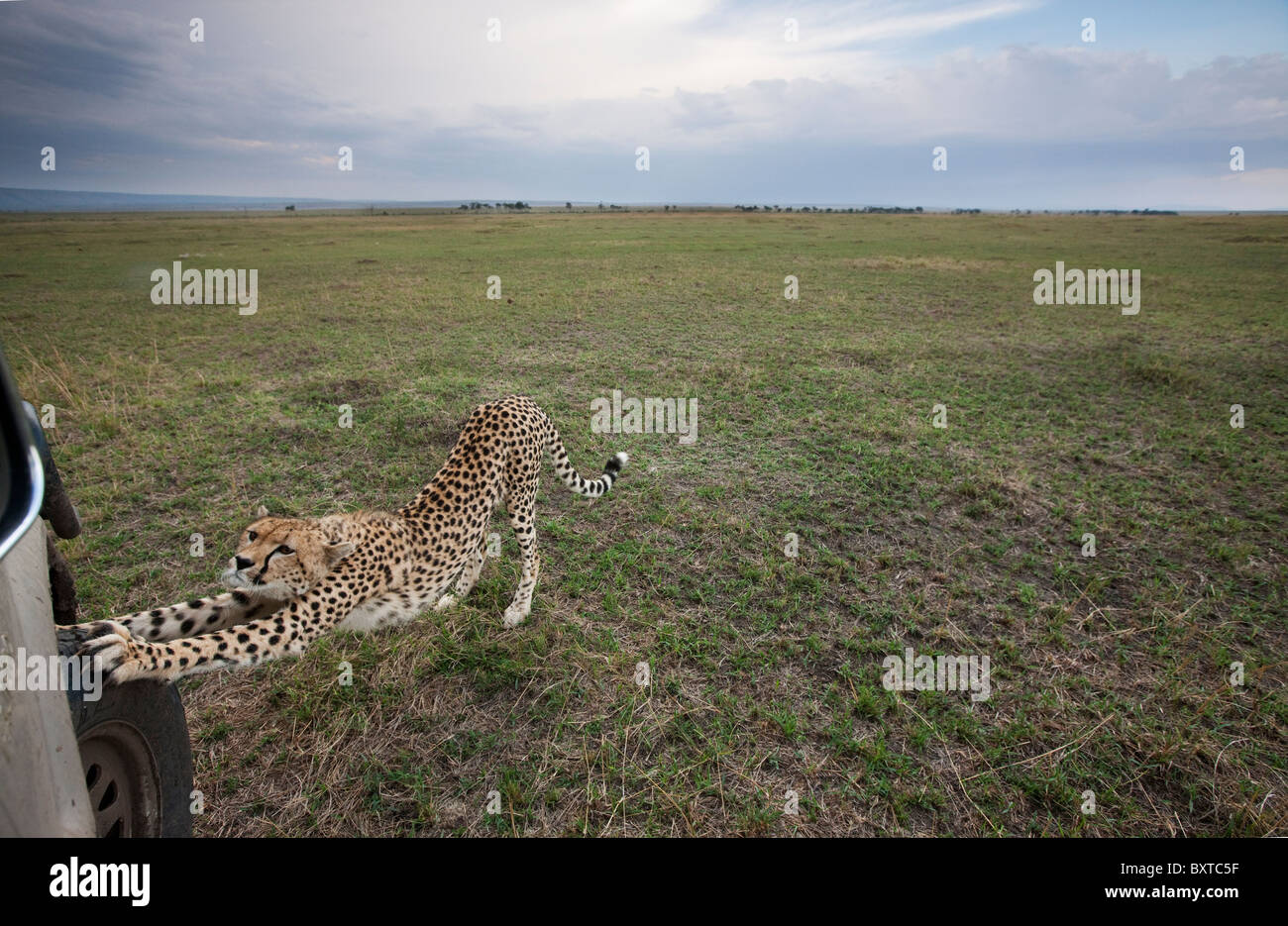 Scratch game hi-res stock photography and images - Alamy