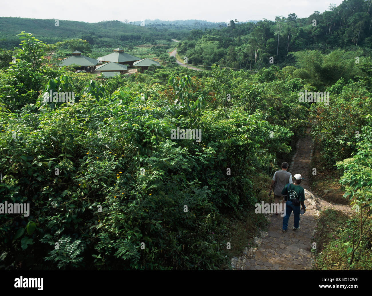 Kakum National Park Stock Photo - Alamy