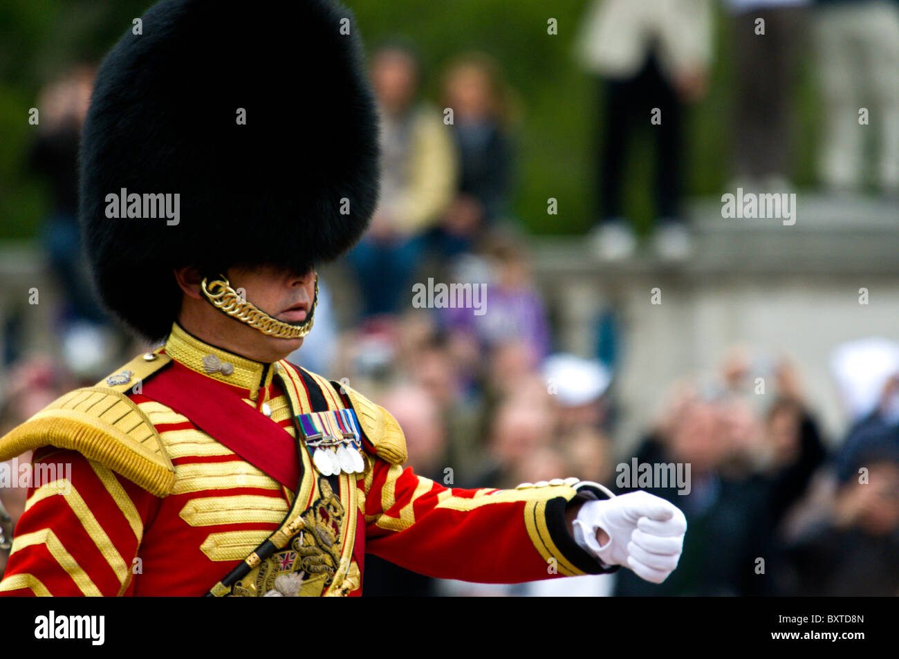 Queen queens guard hi-res stock photography and images - Alamy