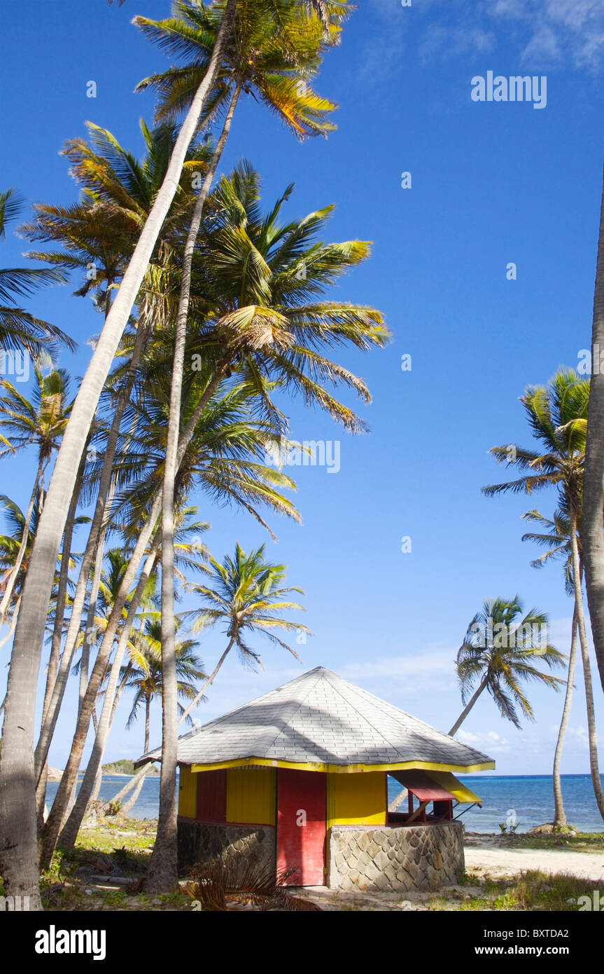 Beach Hut Amongst Palm Trees On Beach Stock Photo - Alamy