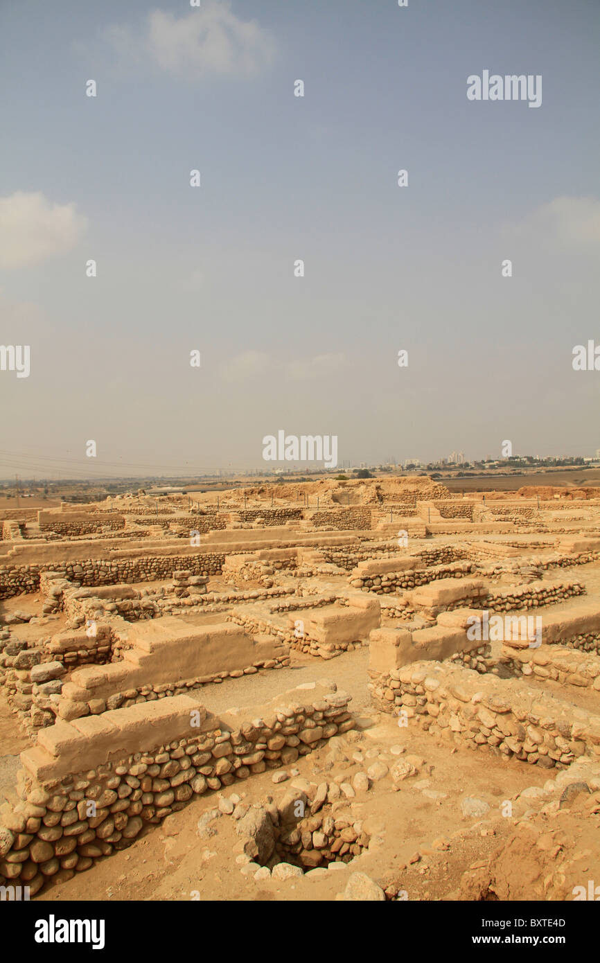 Sheba hi-res stock photography and images - Alamy