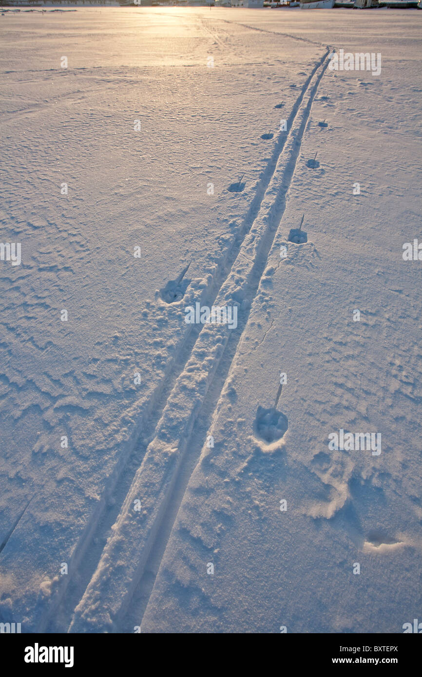 cross country skiing tracks Stock Photo - Alamy