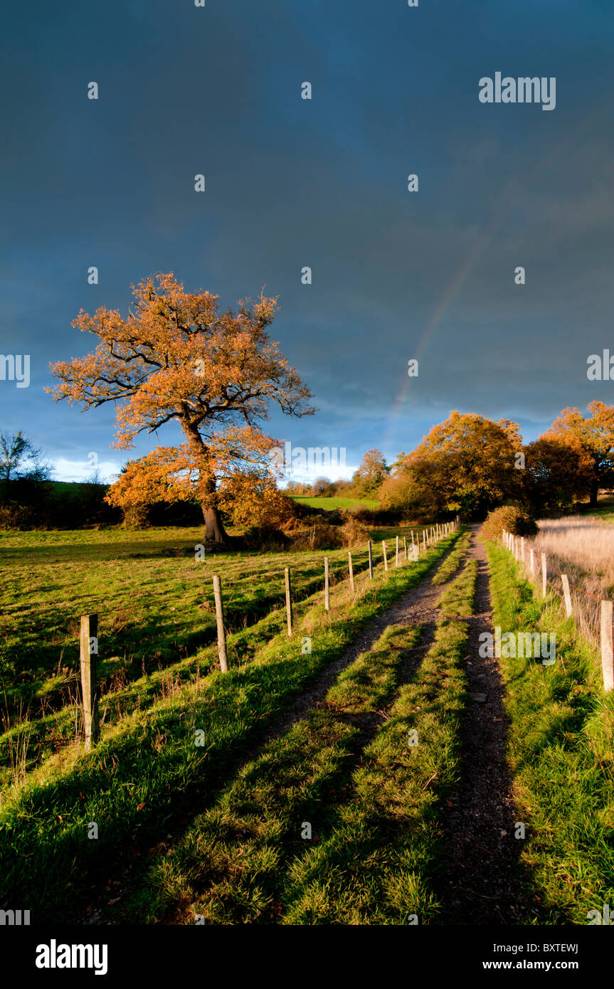 Surrey hills landscapes hi-res stock photography and images - Alamy