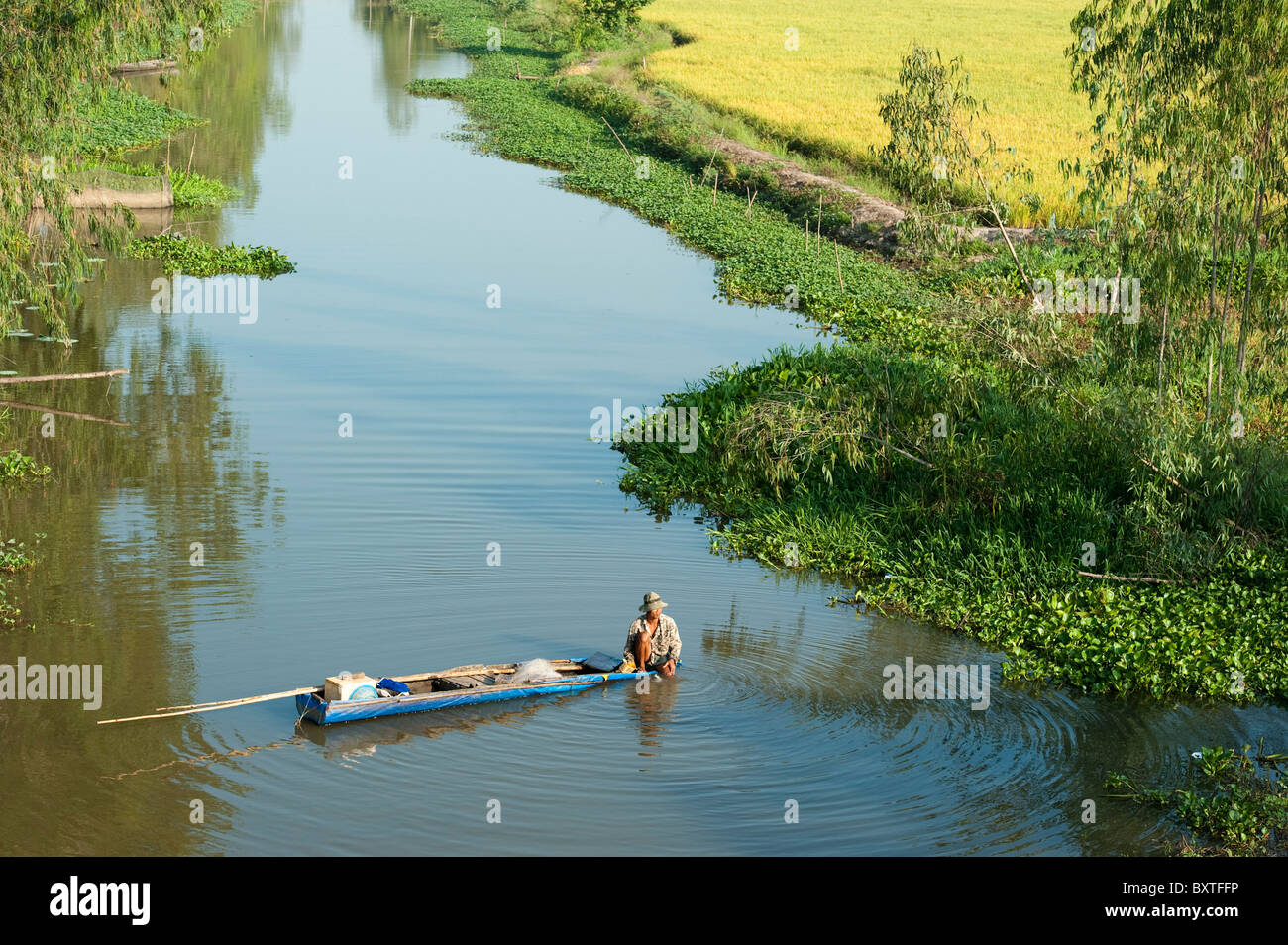 Vietnamese rice paddies hi-res stock photography and images - Alamy