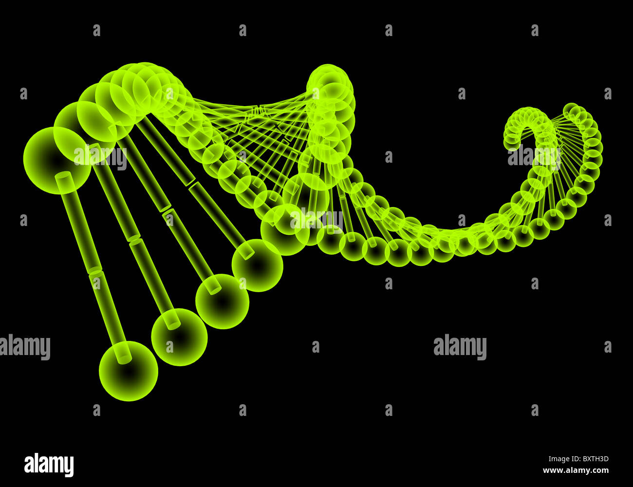 Model of the dna molecule Stock Photo - Alamy