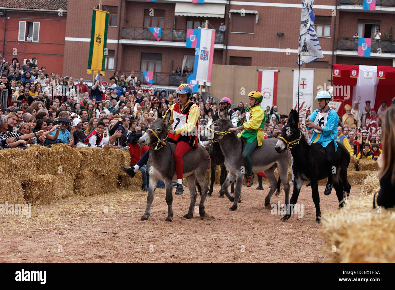 Piedmontese race hi-res stock photography and images - Alamy