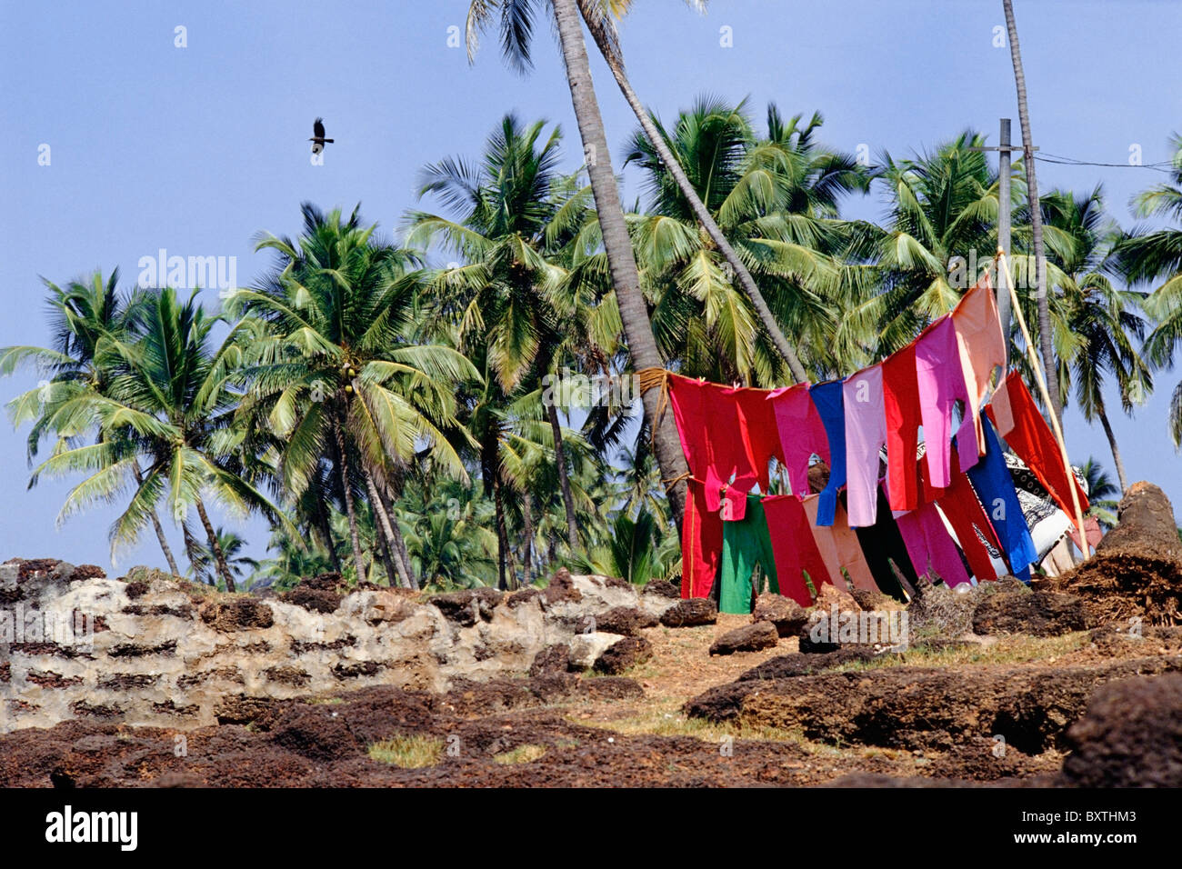 Laundry trees hi-res stock photography and images - Alamy