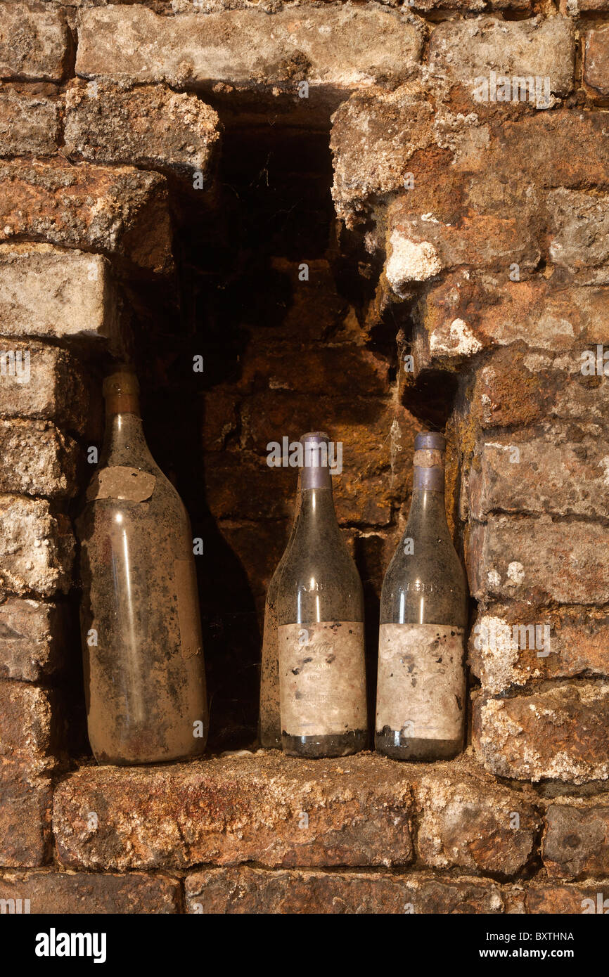 Barolo Barrique, Wine Cellar Ronato Ferrero, La Morra, Langhe, Piedmont ...