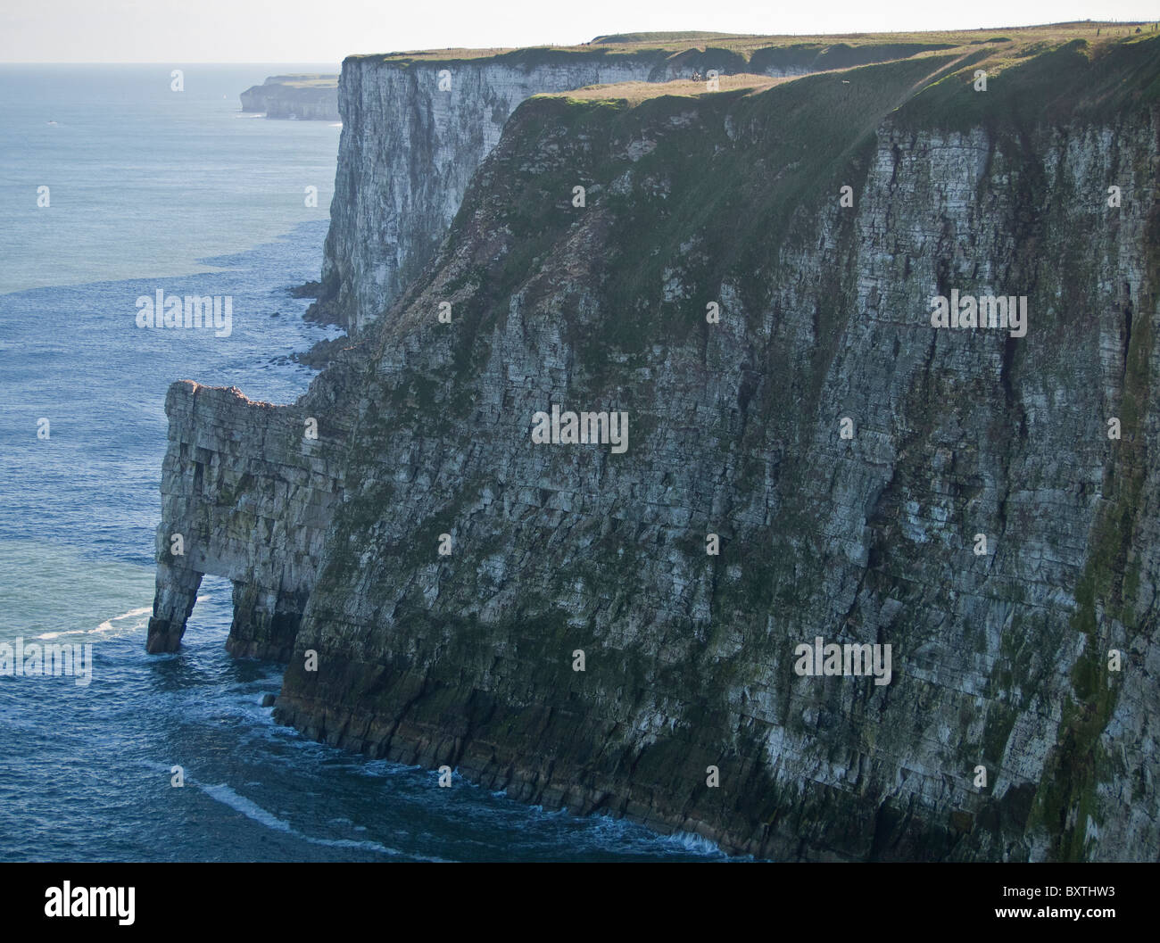 Bempton Cliffs East Yorkshire UK looking south to Flamborough Stock ...