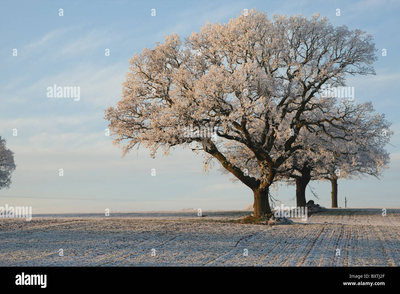 Frosty winter scene in Shropshire Stock Photo - Alamy