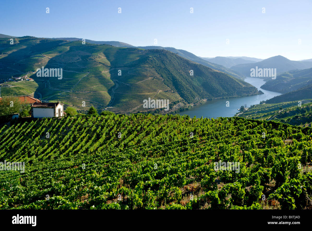 Portugal, The Alto Douro, A Chapel Among Terraced Vineyards Above The ...
