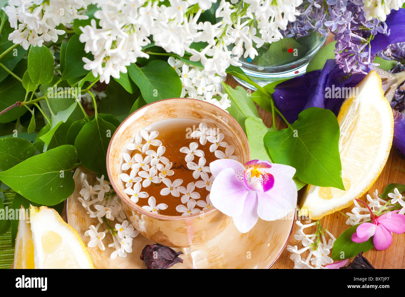 cup of tea and spring branch, flower Stock Photo - Alamy