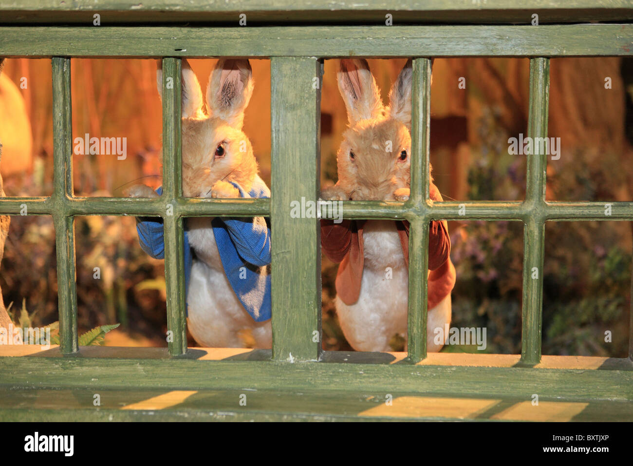 Beatrix Potter Characters