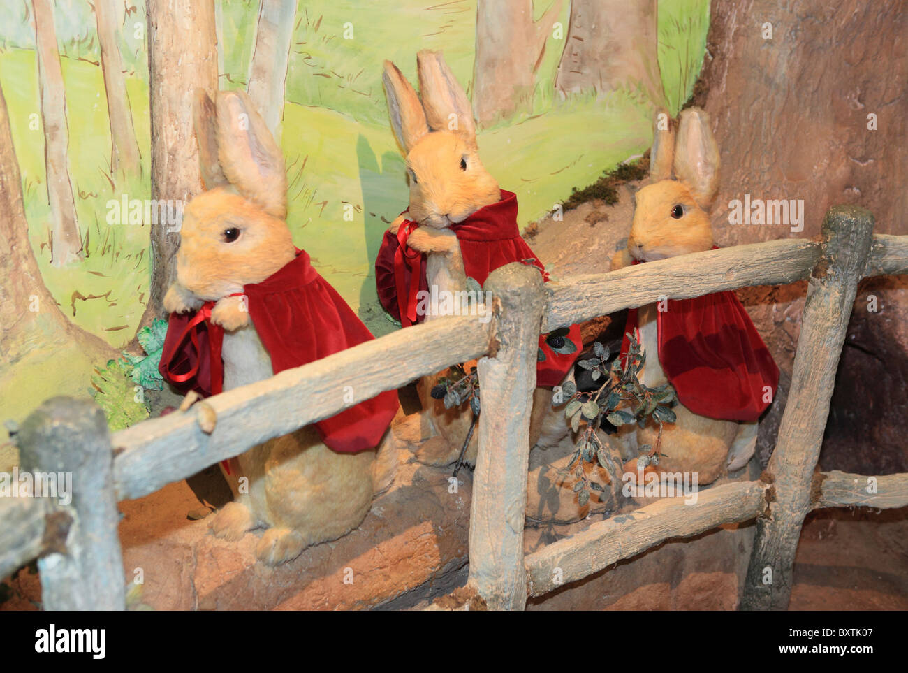 Bowness rabbit hi-res stock photography and images - Alamy