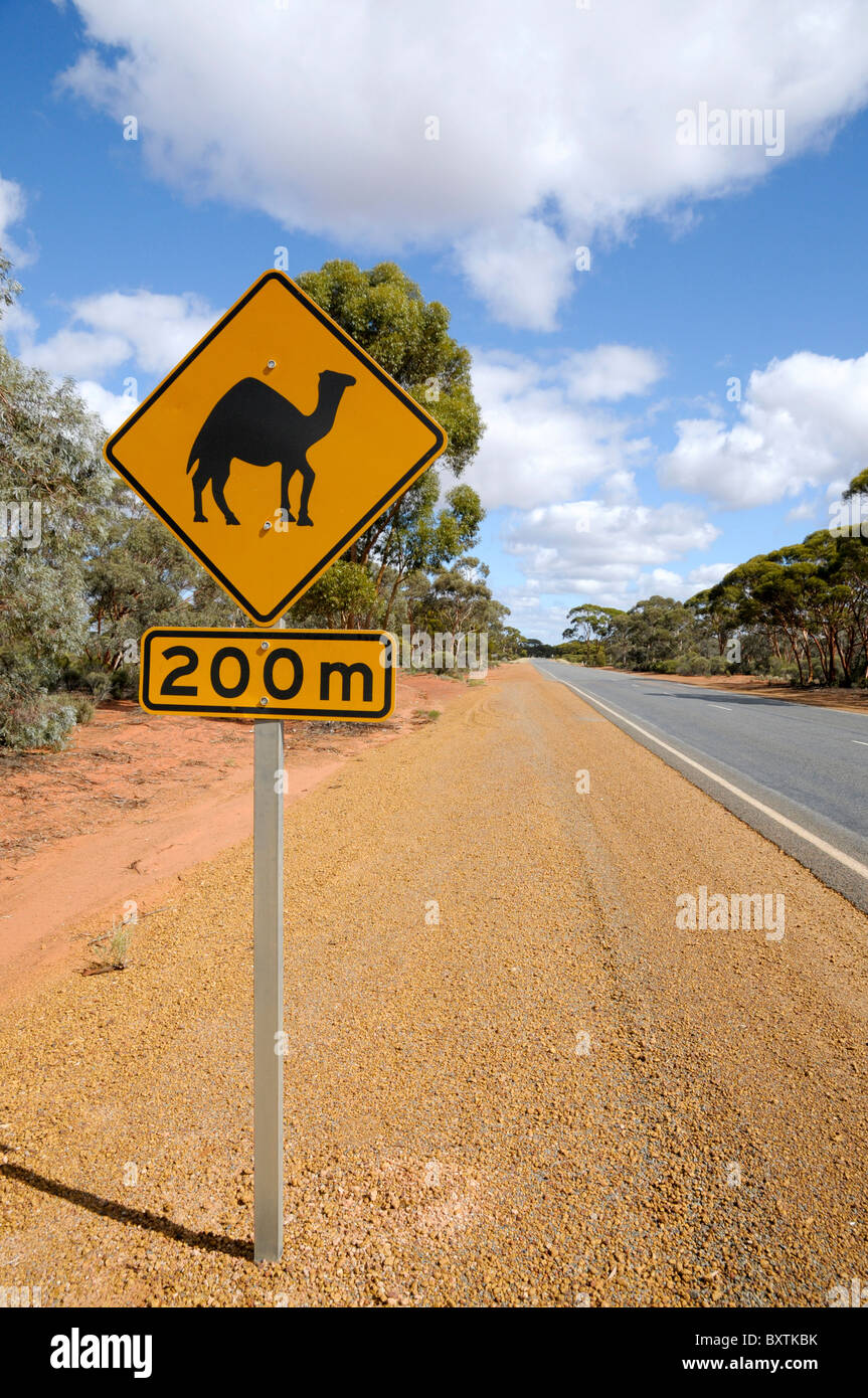 Camel Warning Sign In Wa Australia Stock Photo - Alamy