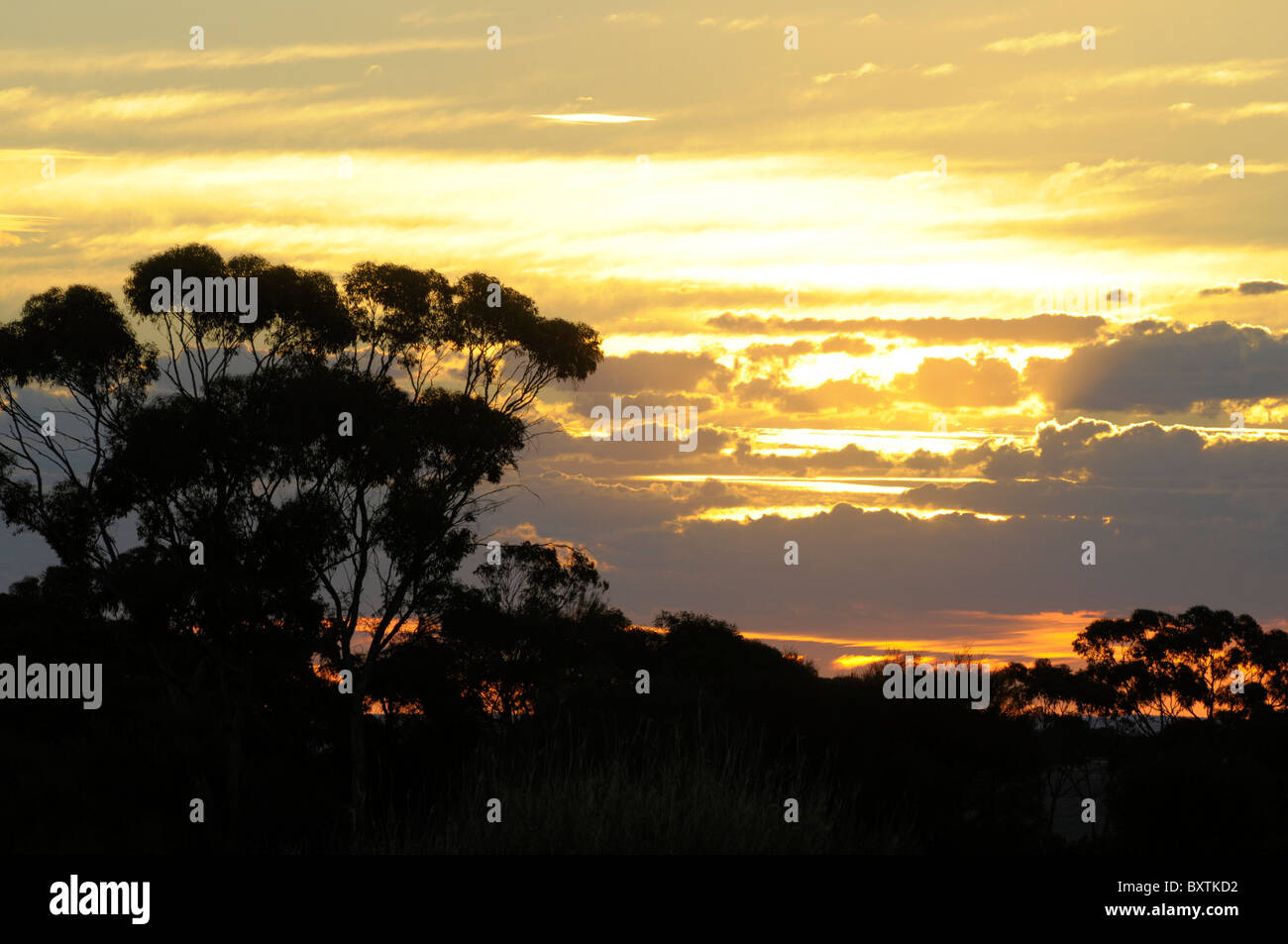 Merredin wa hi-res stock photography and images - Alamy
