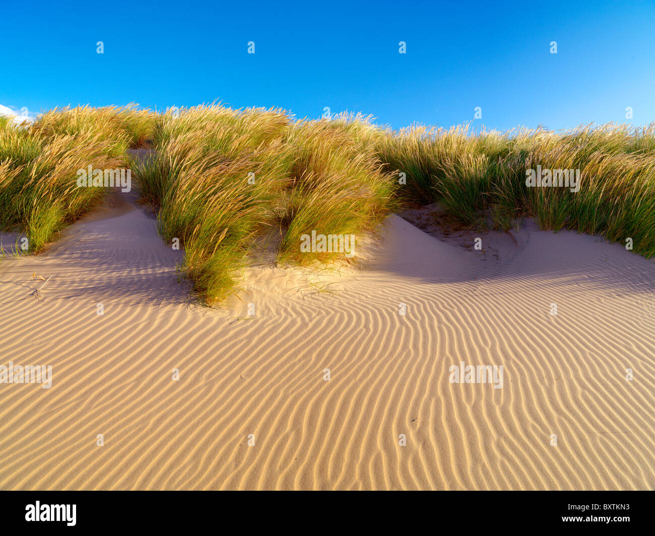 Camber Sands East Sussex Stock Photo - Alamy