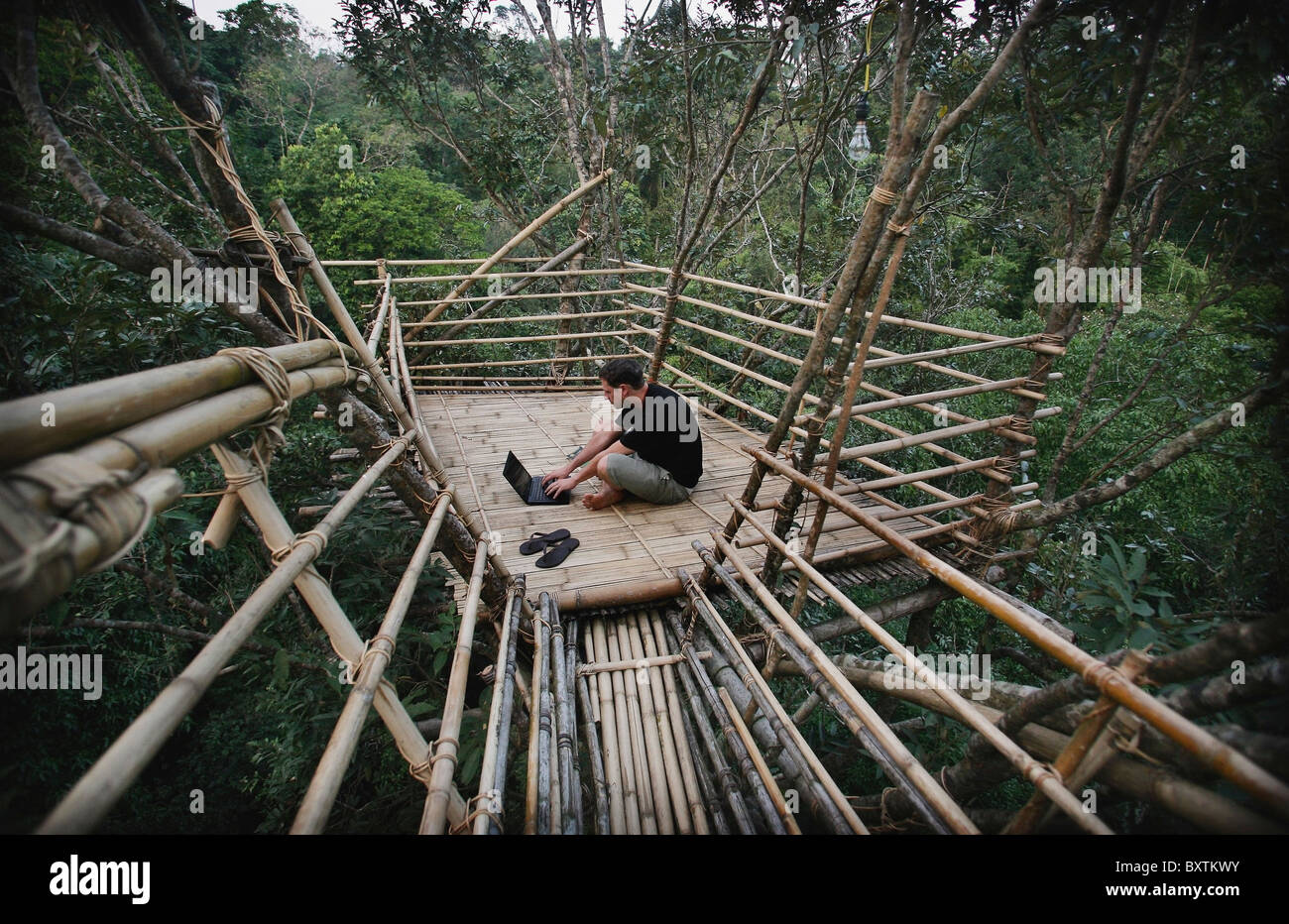 Man Using A Laptop In A Remote Tribal Village On Bamboo Tree Top Canopy ...
