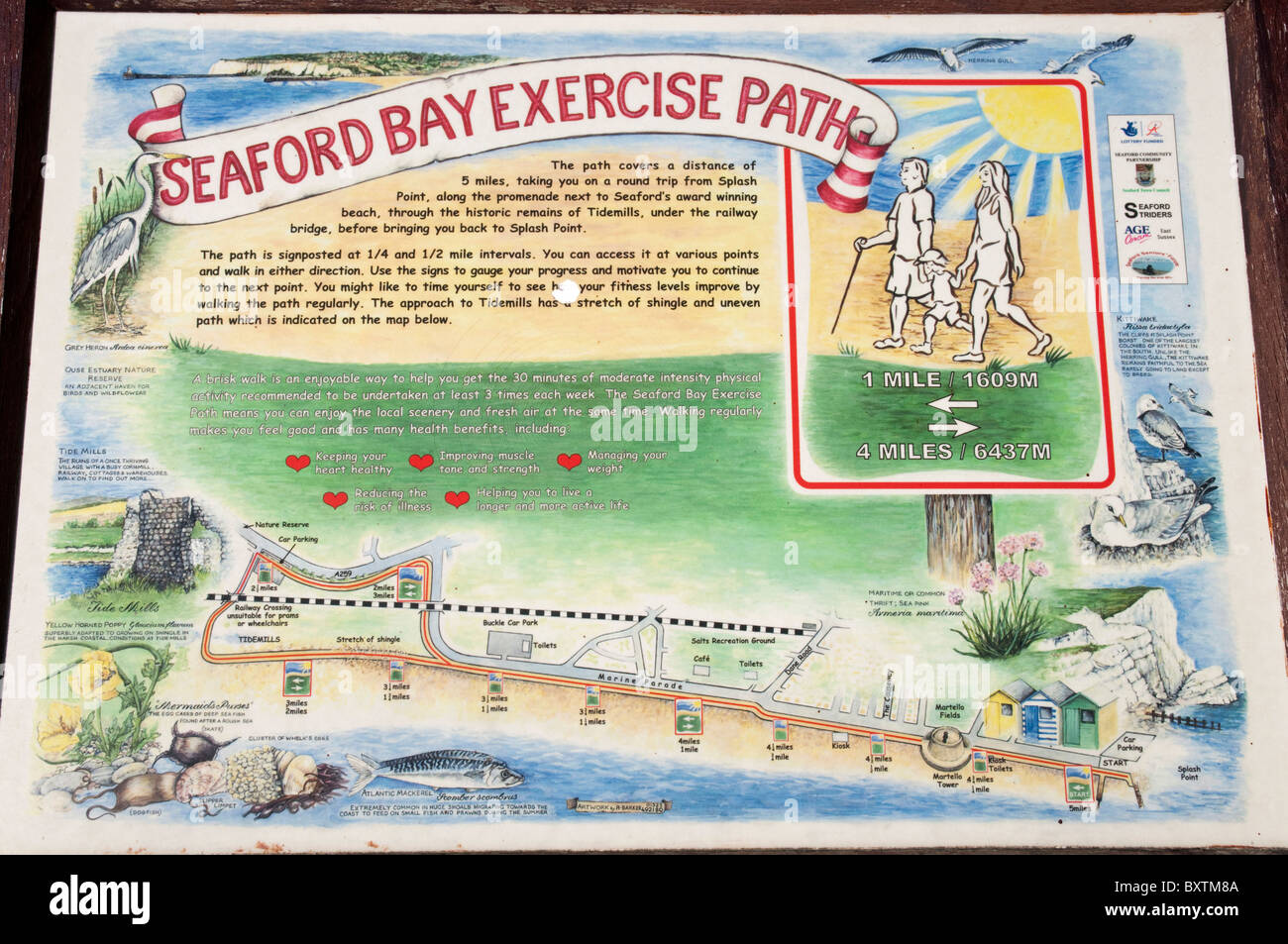 Exercise Path Map At Seaford Sussex Stock Photo - Alamy