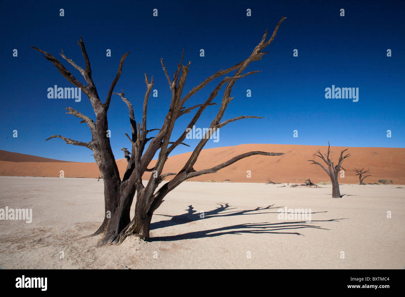 Salt flats namibia hi-res stock photography and images - Alamy