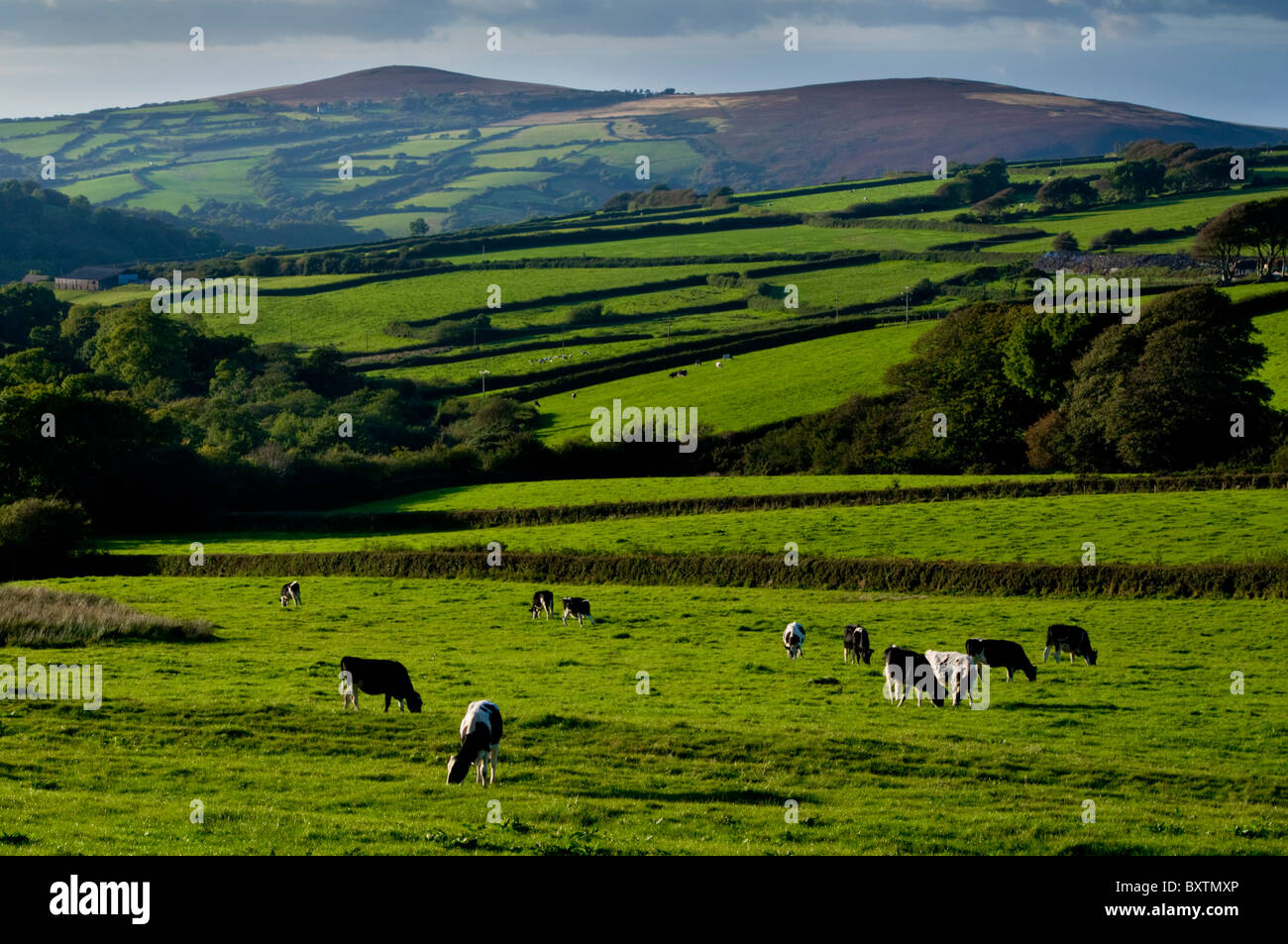 North devon landscape countryside hi-res stock photography and images ...