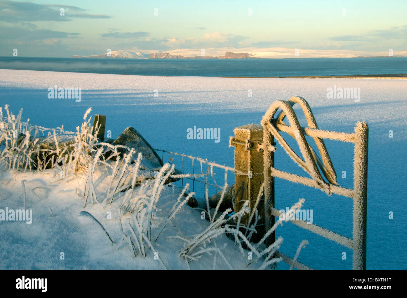 Covered gate hi-res stock photography and images - Alamy