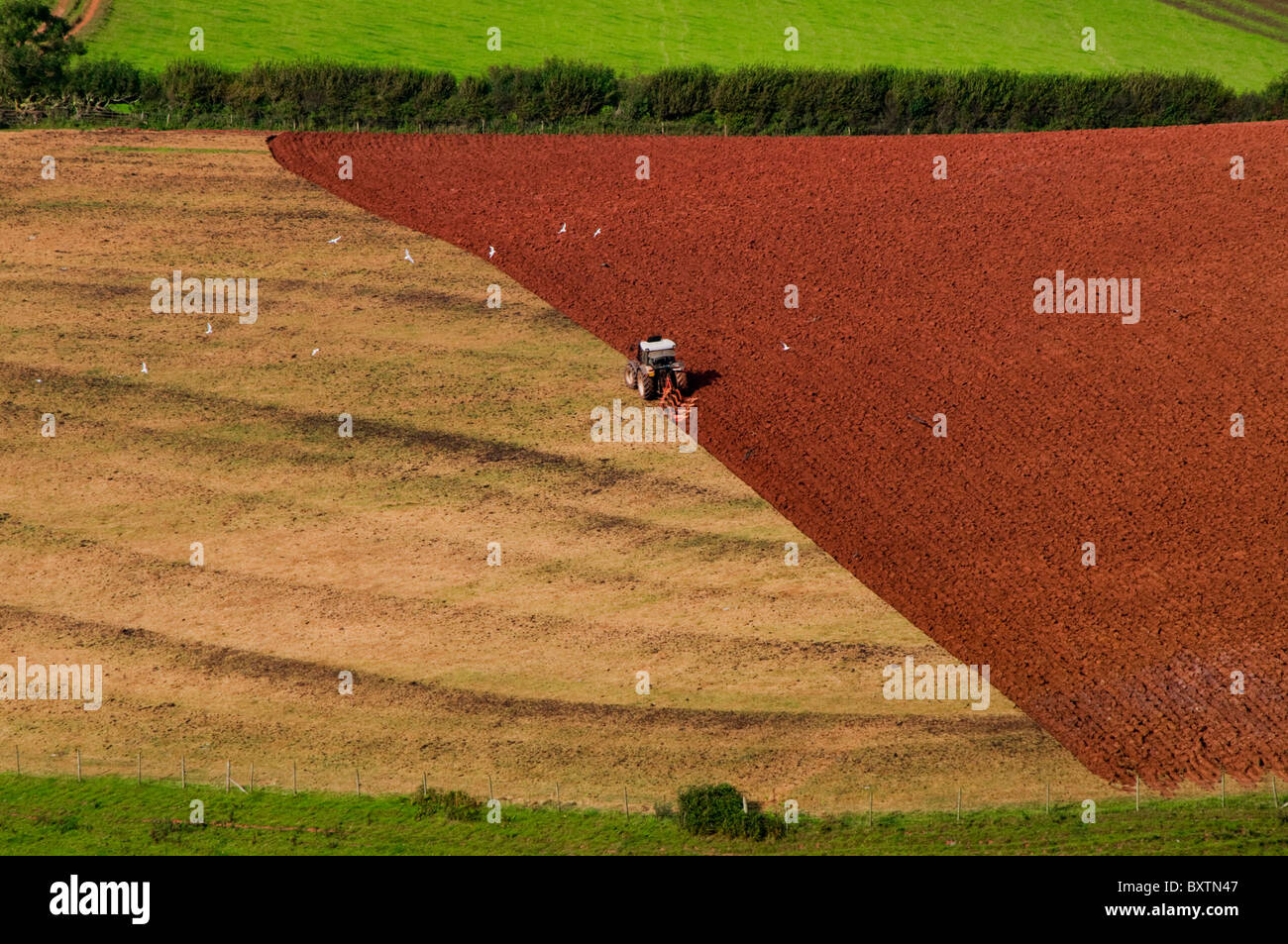 Devon, Dart Valley Farming Stock Photo - Alamy