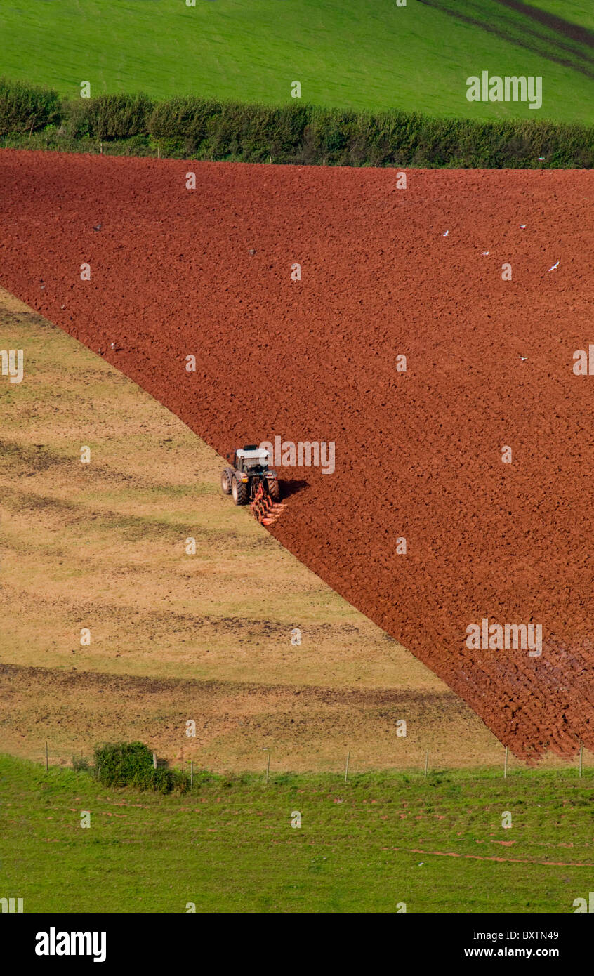 Devon, Dart Valley Farming Stock Photo - Alamy