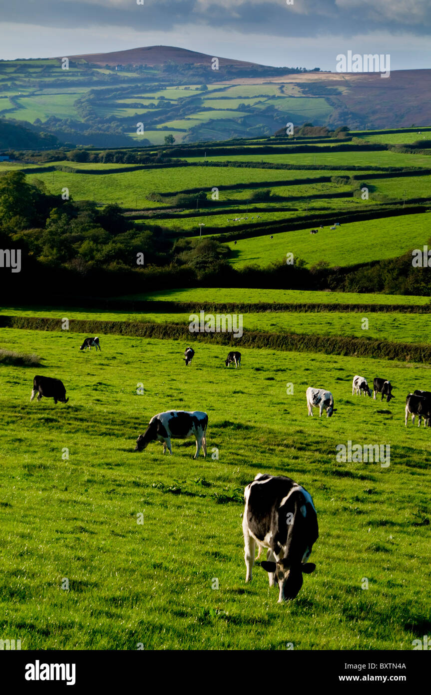 North devon landscape hi-res stock photography and images - Alamy