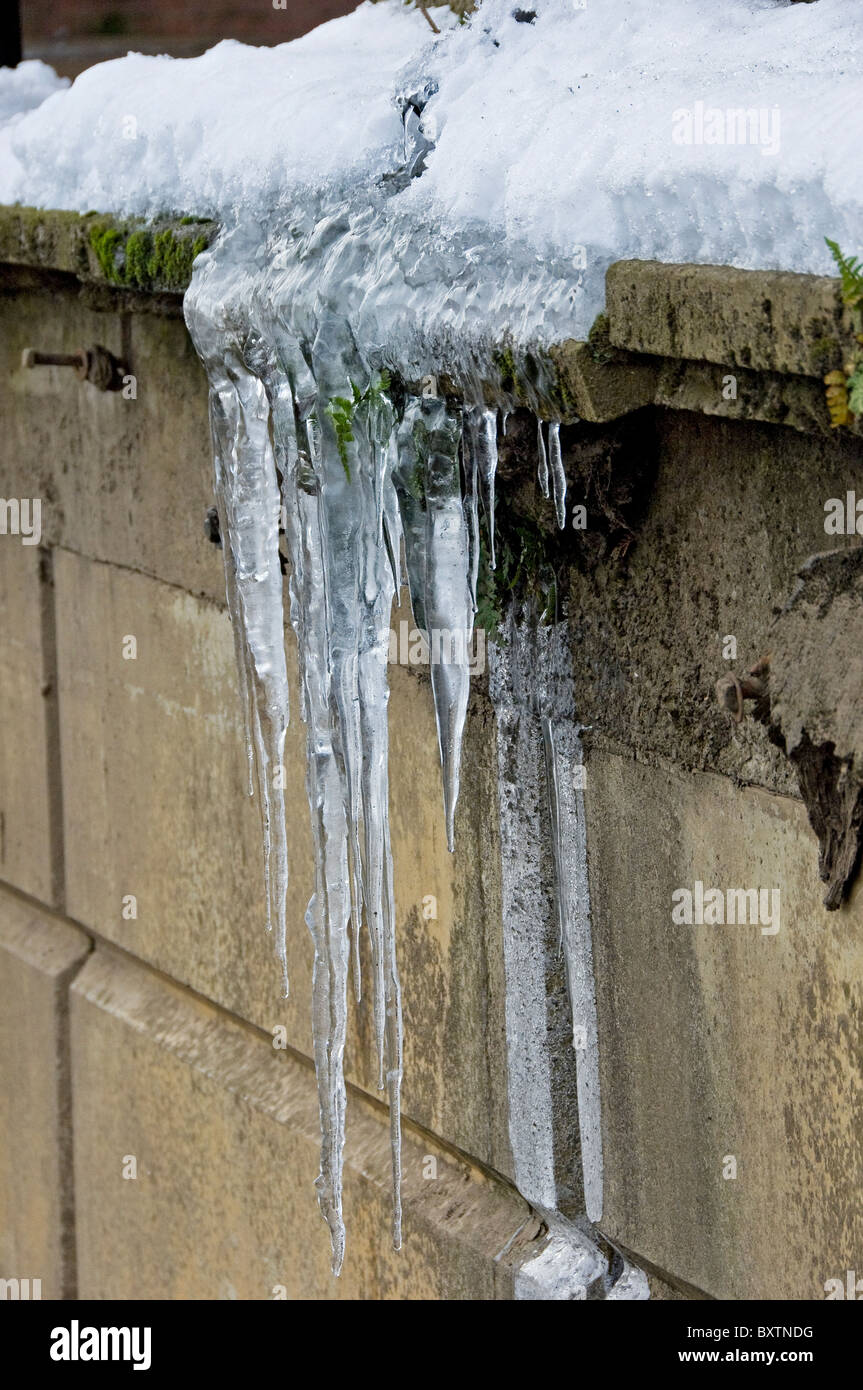 Giant Icicles On Castle Wall