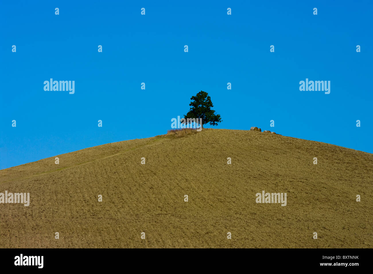 Horizontal landscape tree hi-res stock photography and images - Alamy
