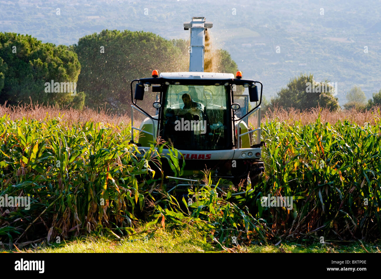 Harvest destination hi-res stock photography and images - Alamy