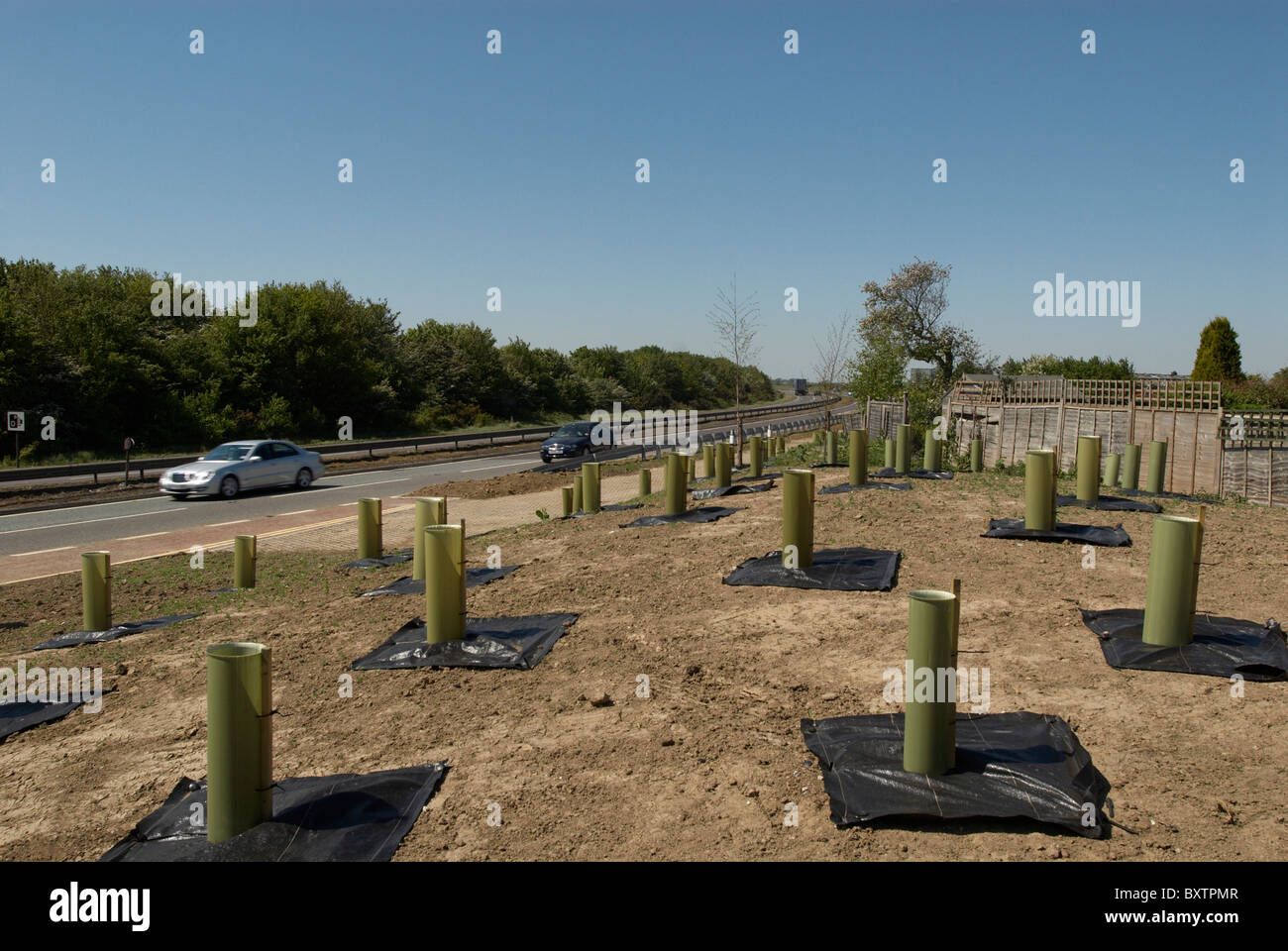 Plastic tree protectors hi-res stock photography and images - Alamy