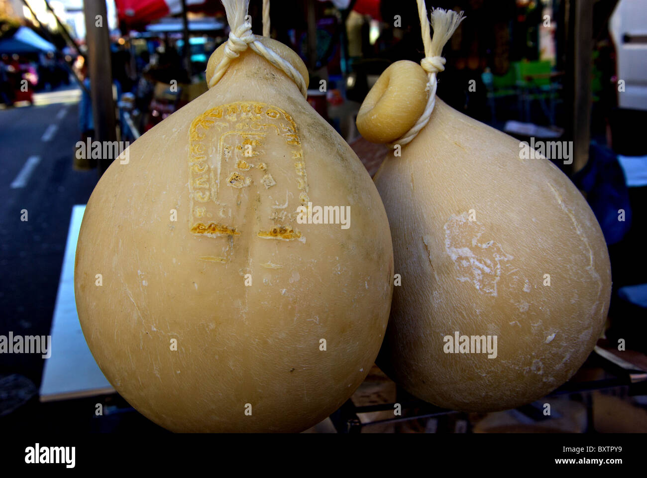 Globes Caciocavallo DoP cheese hanging from twine cheese stall farmers ...