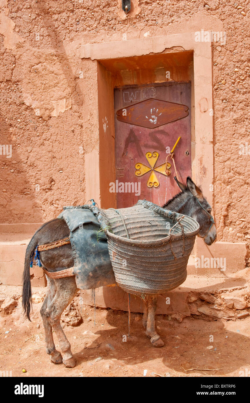A donkey and mud hut doorway at the Ait Benhaddou Casbah near Ourzazate ...