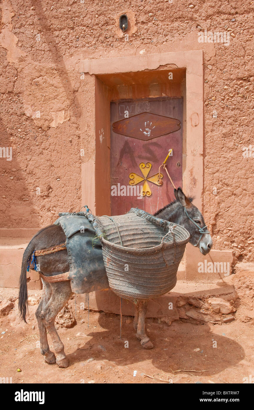 A donkey and mud hut doorway at the Ait Benhaddou Casbah near Ourzazate ...