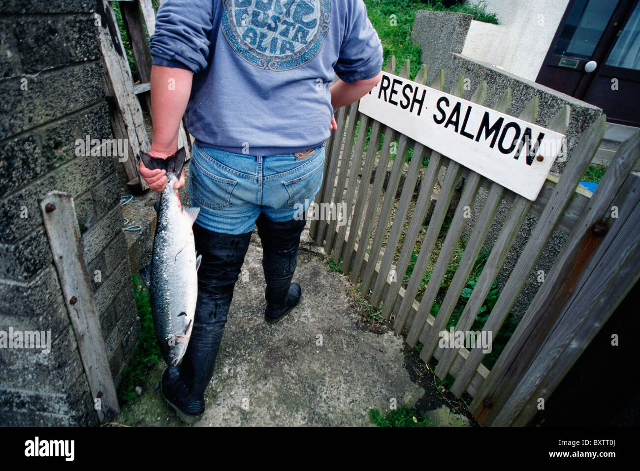 Fisherman Holding Onto A Salmon As He Enters A Gate Stock Photo - Alamy