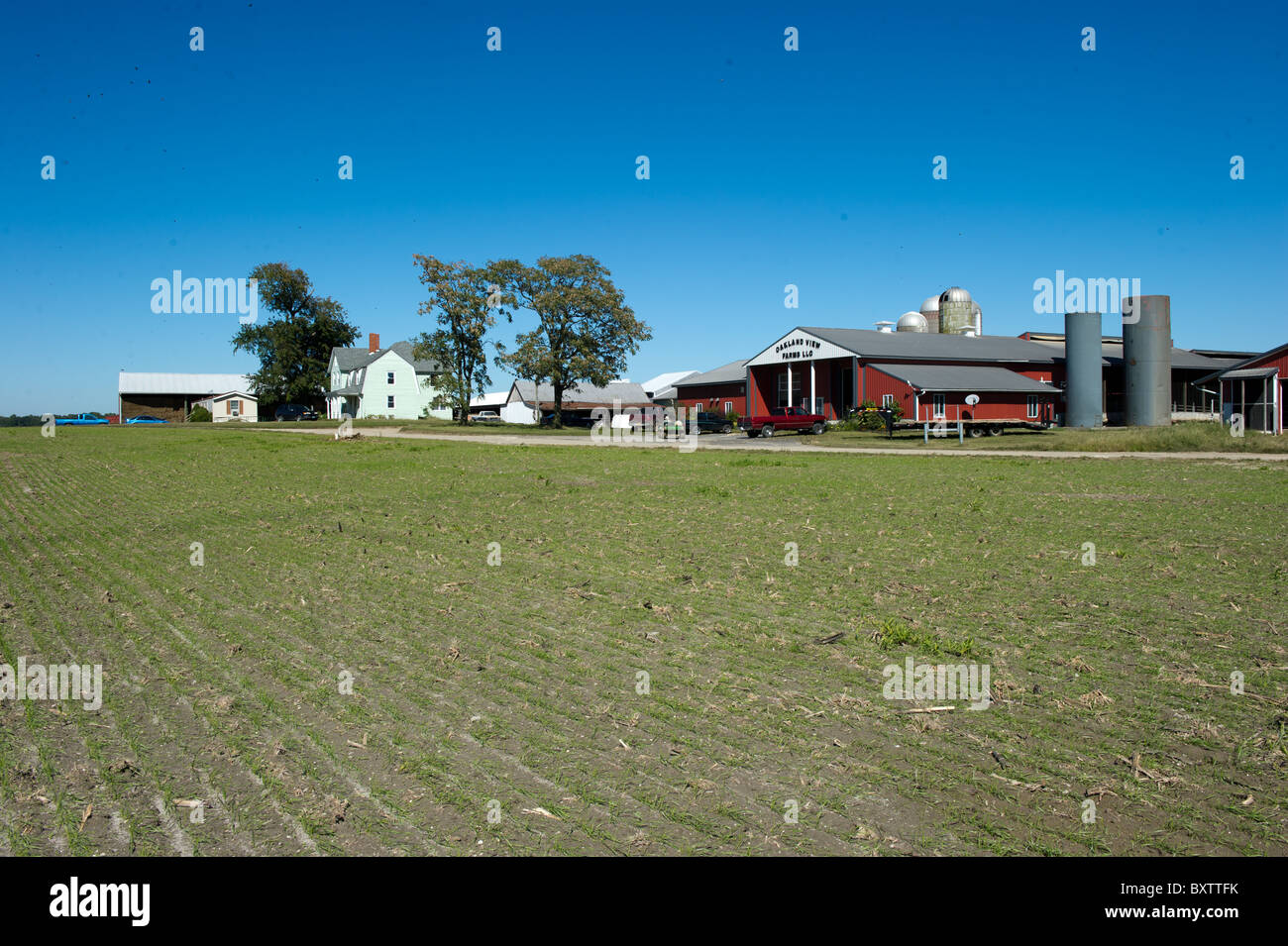 Dairy farm in Maryland Stock Photo - Alamy
