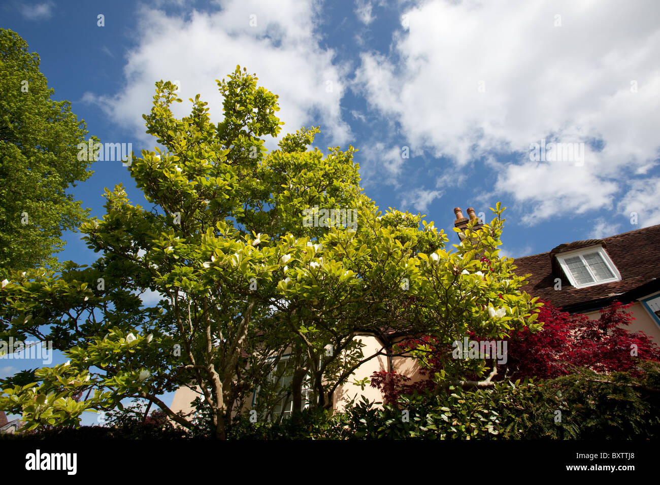 Salisbury nature hi-res stock photography and images - Alamy