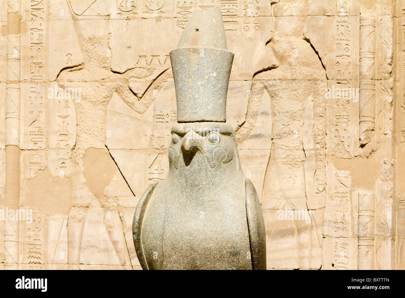 Edfu Temple, Egypt - statue of the God Horus 3 Stock Photo - Alamy