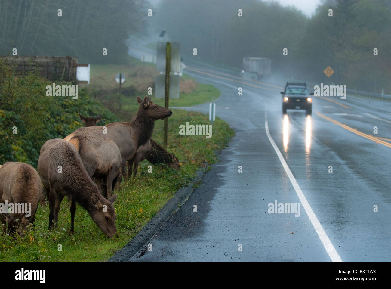 West elks hi-res stock photography and images - Alamy