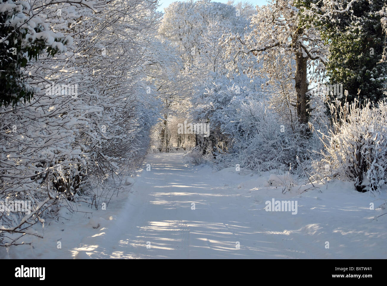 Snow covered lane hi-res stock photography and images - Alamy