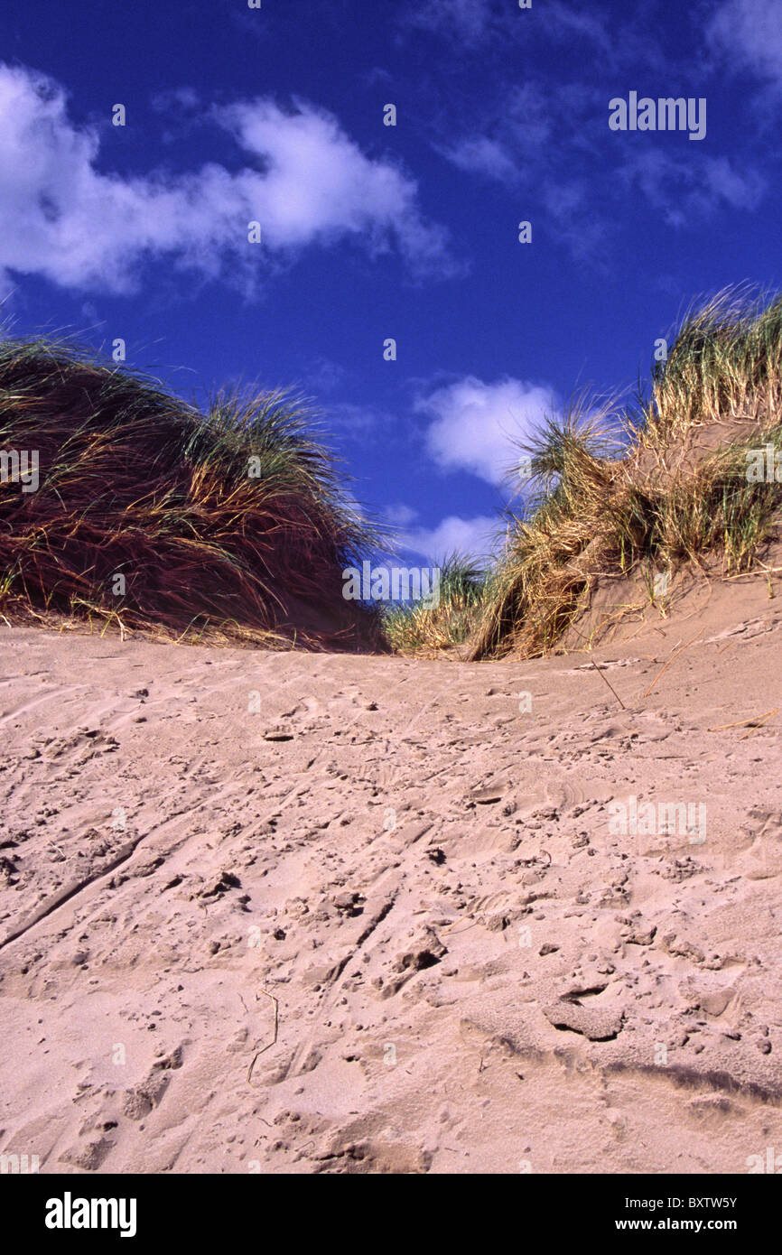 Tyrella Beach High Resolution Stock Photography and Images - Alamy