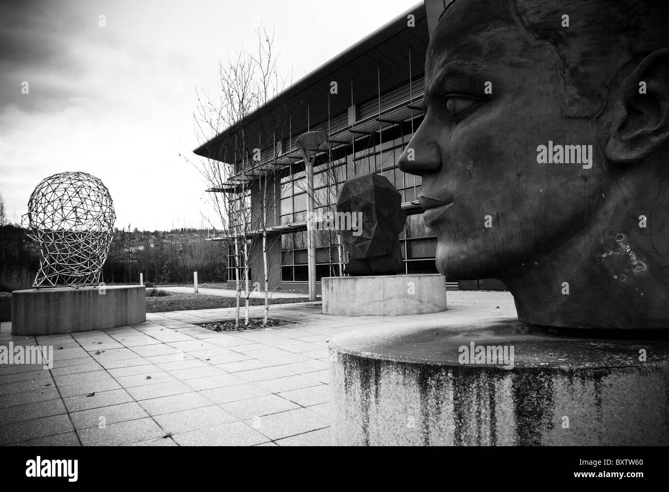 Joseph Hillier’s sculpture Generation a group of three human head ...