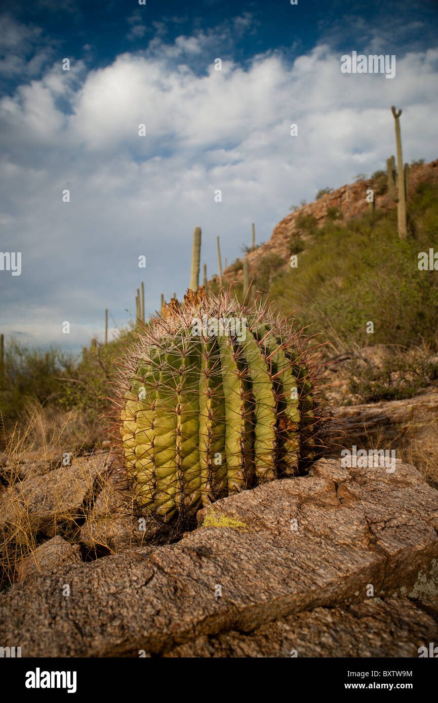 Ventana Canyon , Tucson Arizona Stock Photo - Alamy