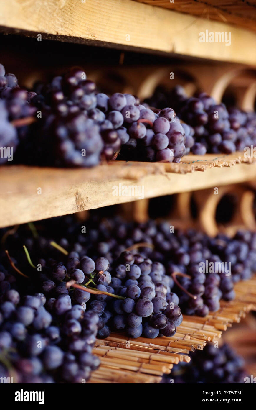 Drying fruits hi-res stock photography and images - Alamy